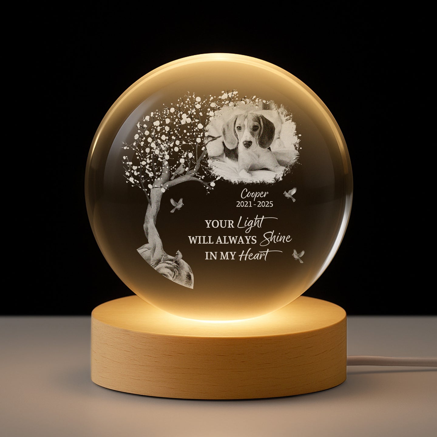 Personalised Memorial Crystal Ball Lamp with Photo for Dog/Cat - Custom ...